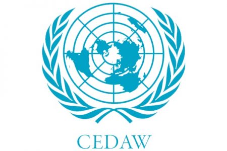 Recommandation générale du comité de suivi CEDEF-CEDAW : une victoire ...